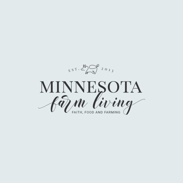 TCN Design Studio - Brand and Web Design for Creative Bloggers